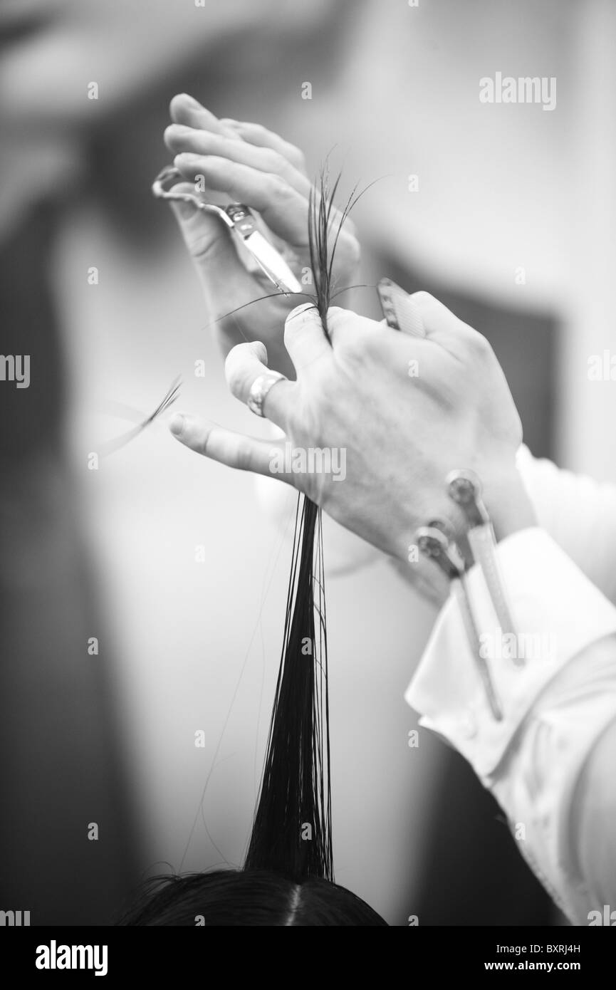 Stylist hi-res stock photography and images - Alamy