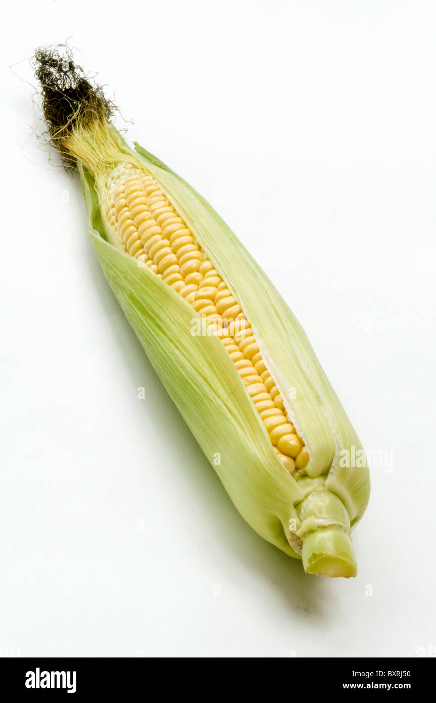 White sweetcorn hi-res stock photography and images - Alamy