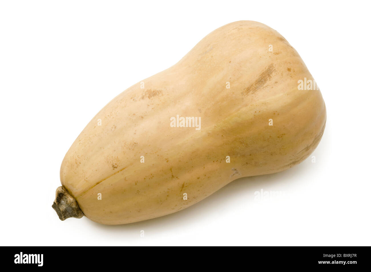 Squash up Cut Out Stock Images & Pictures - Alamy