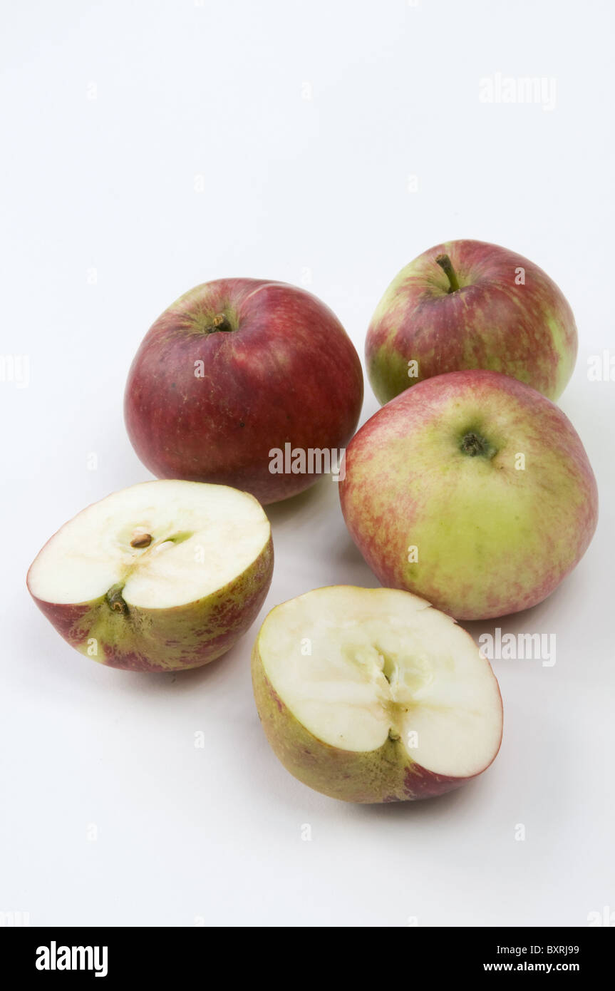 Pearmain hi-res stock photography and images - Alamy