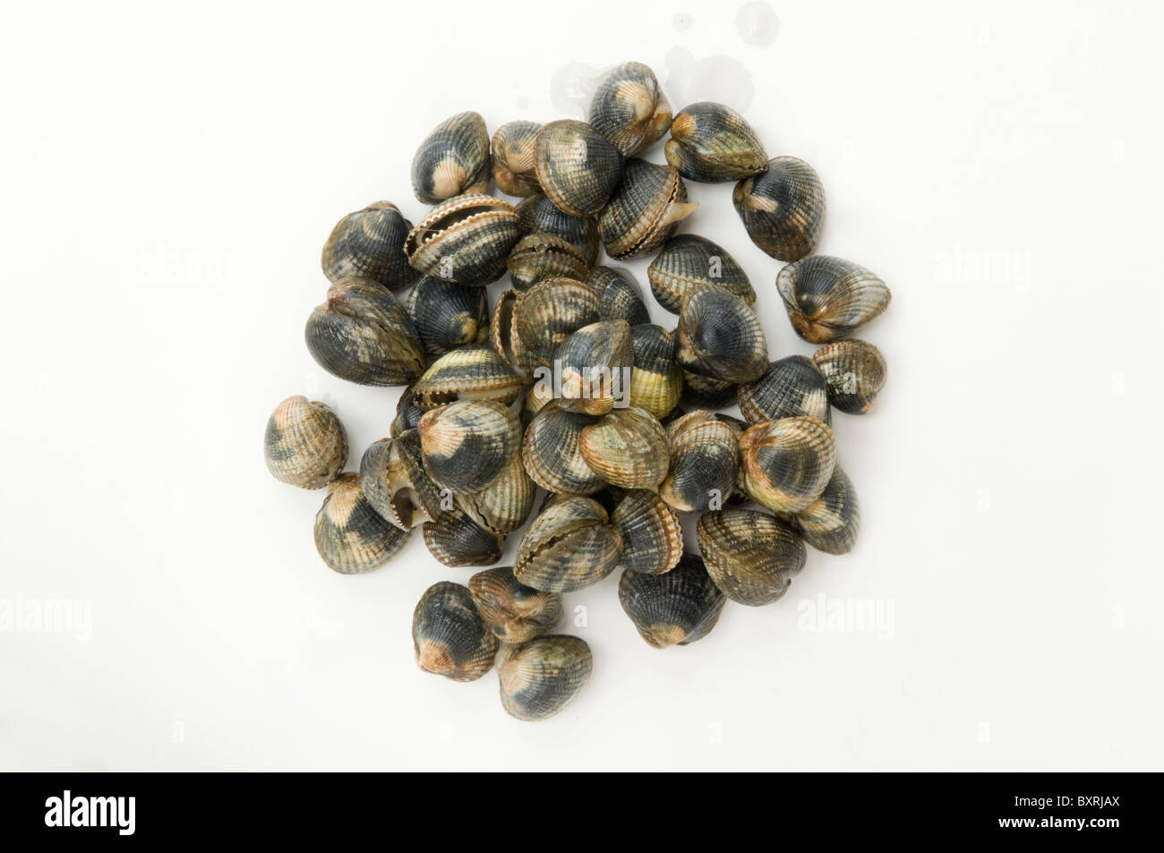 Cockles hi-res stock photography and images - Alamy