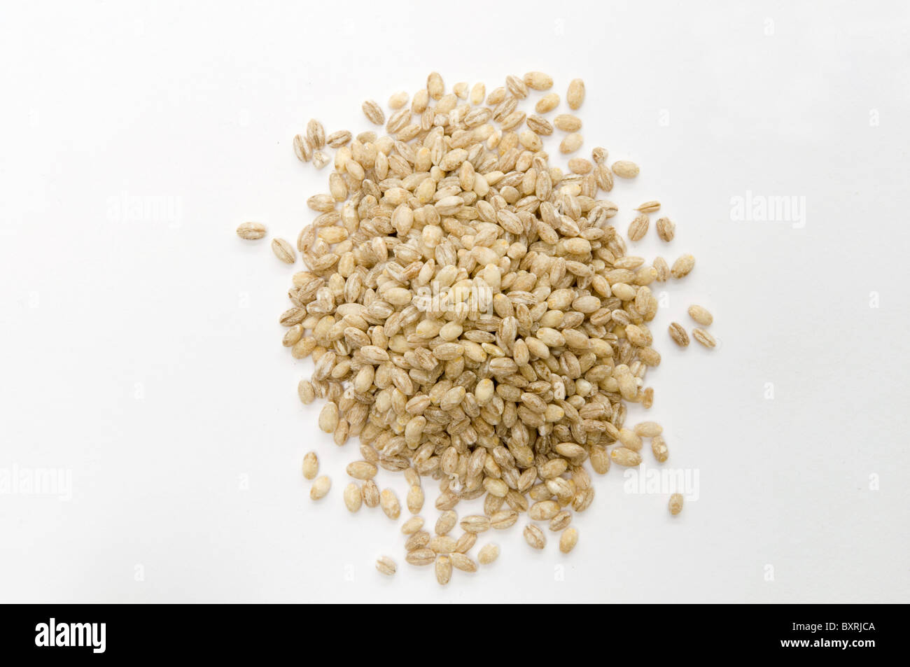 Barley grains white background hi-res stock photography and images - Alamy