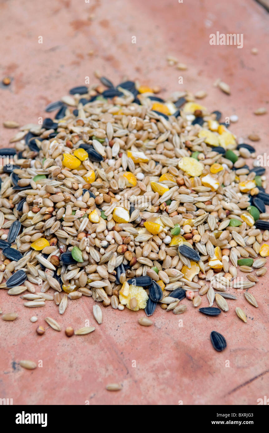 Pile of bird seed hi-res stock photography and images - Alamy
