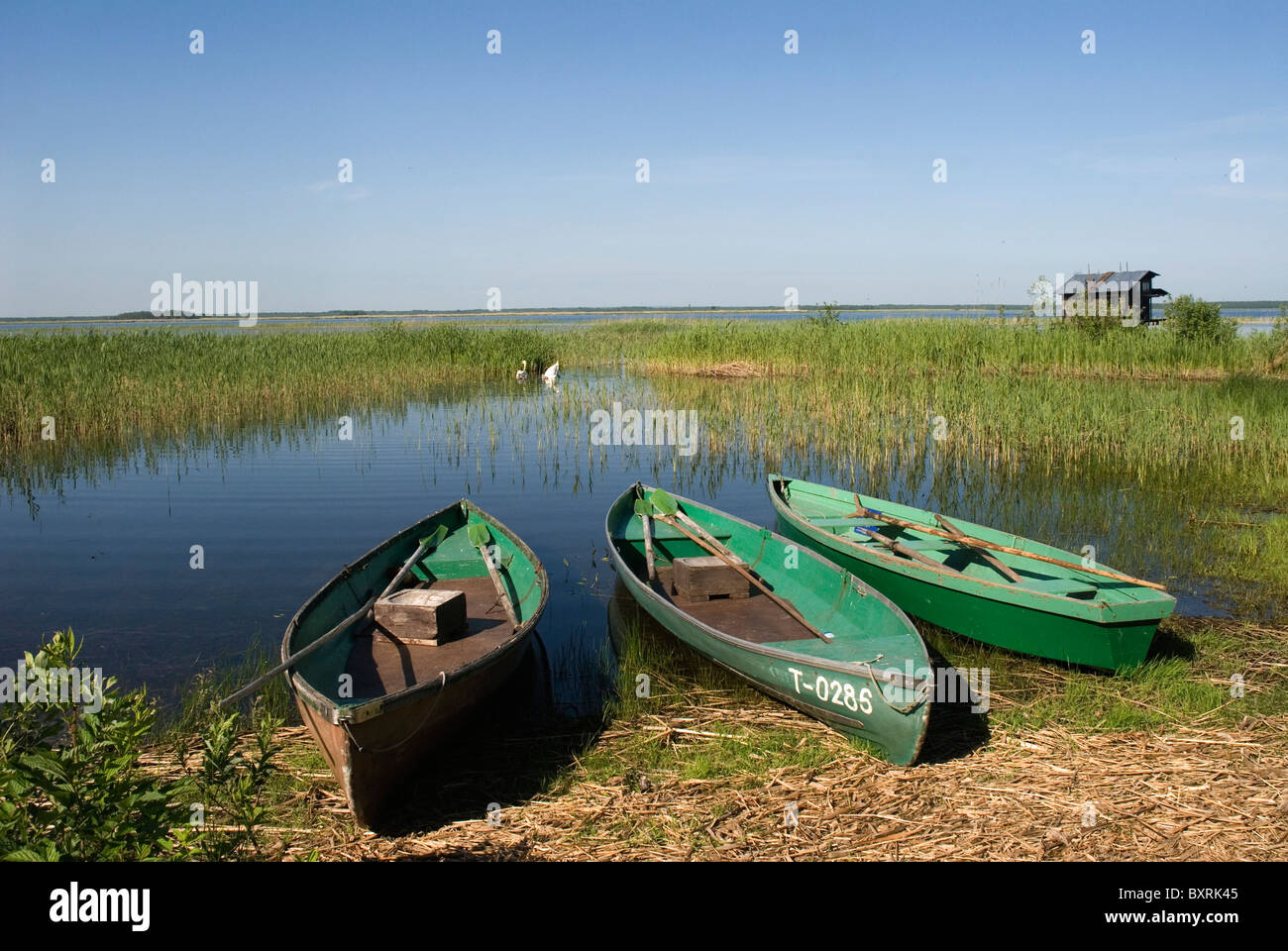 Latvia, Kolka Peninsula, Lake Engure, three boats on the shore Stock ...