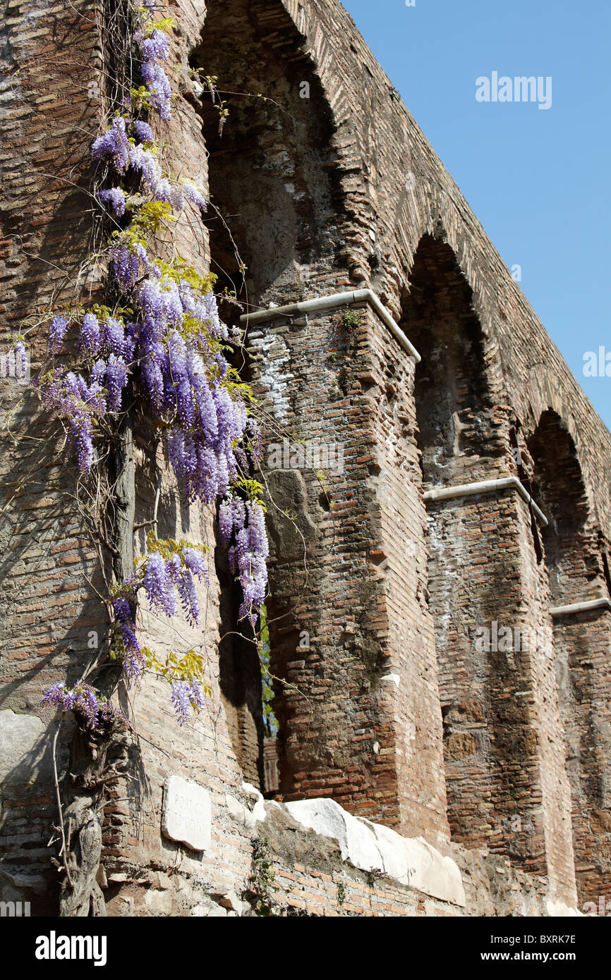 Wisteria Archway Wisteria Arch High Resolution Stock Photography and ...