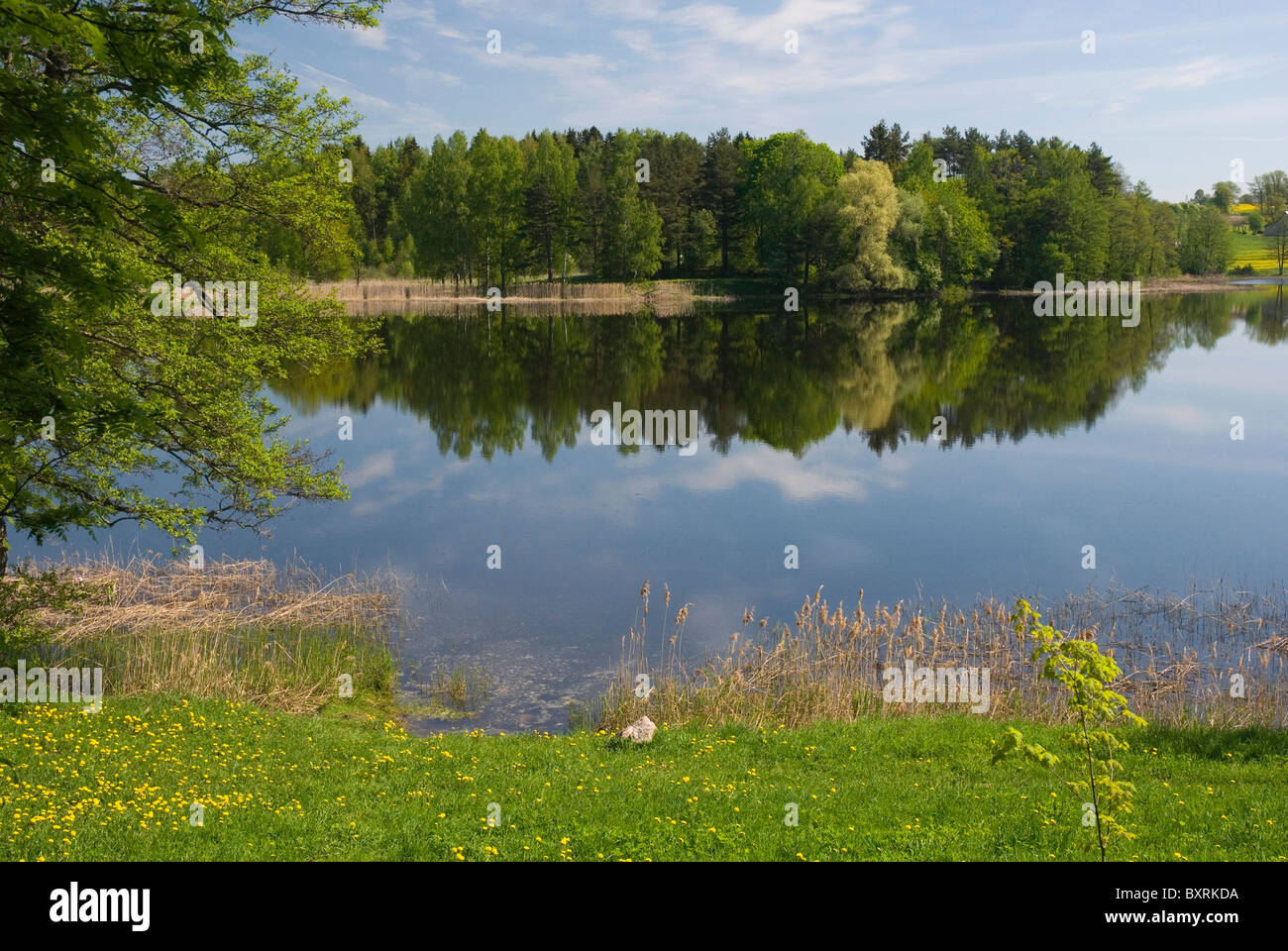 Latvia, Gauja National Park, Araisi, View of the lake in spring Stock ...