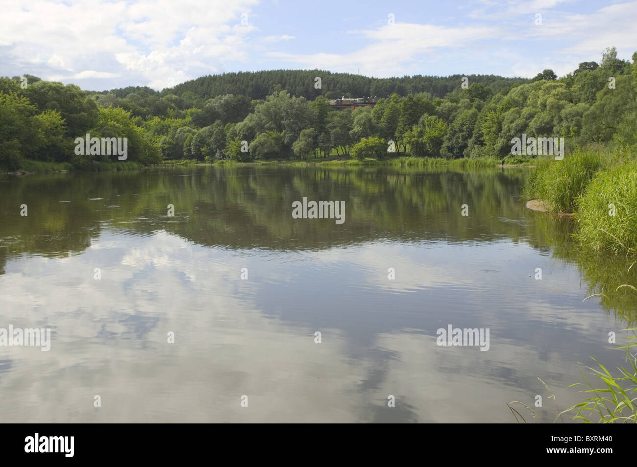 Vingis hi-res stock photography and images - Alamy