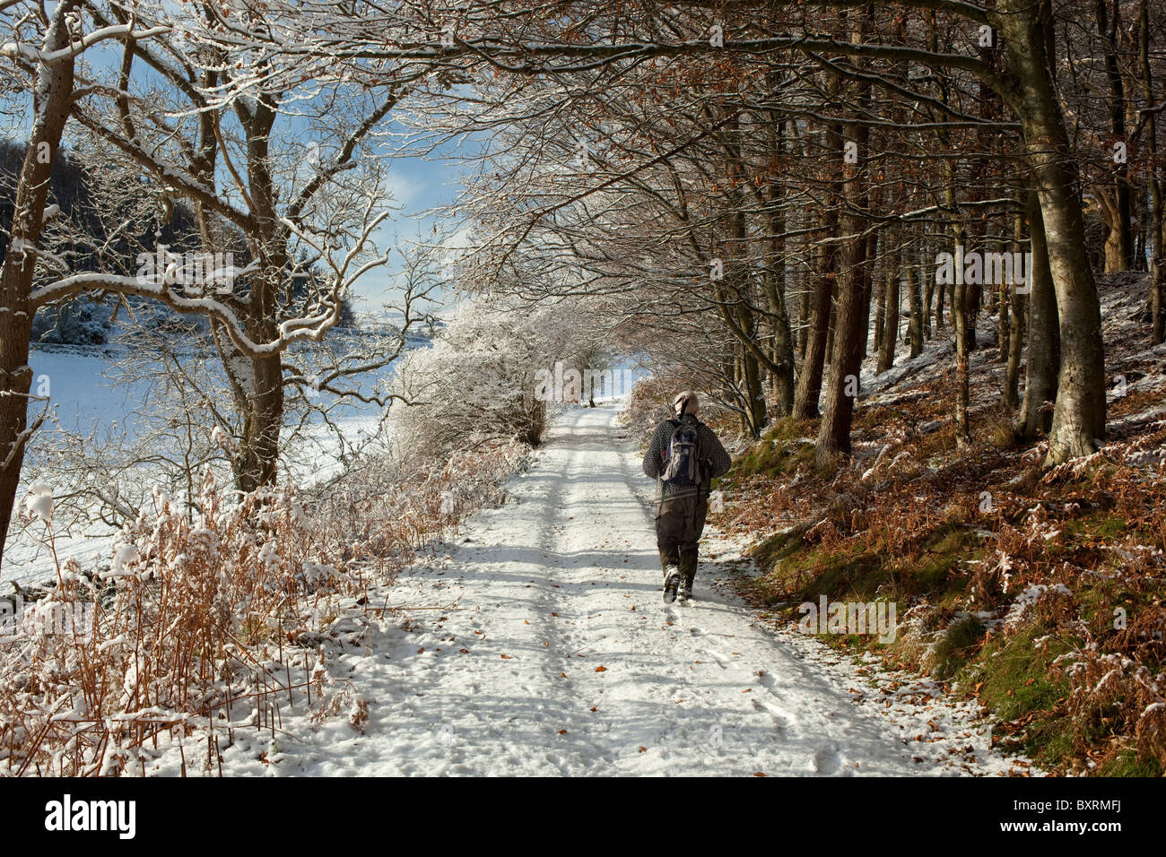 Old cart track hi-res stock photography and images - Alamy
