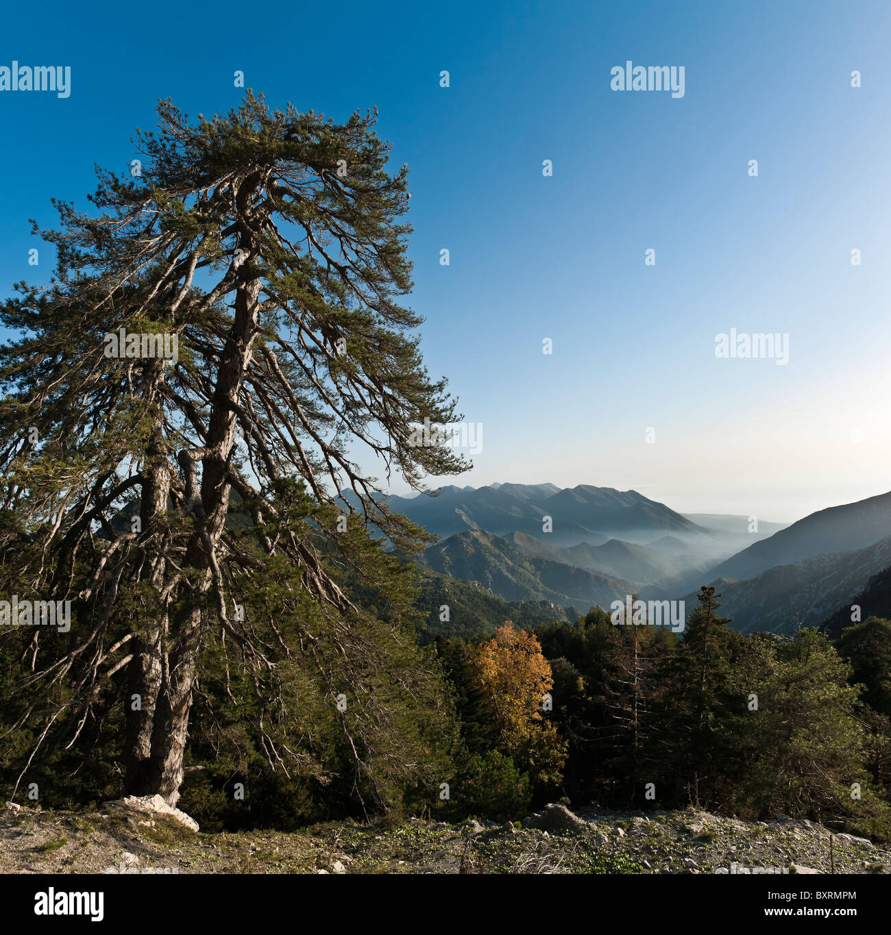 Taygetos mountain greece hi-res stock photography and images - Alamy