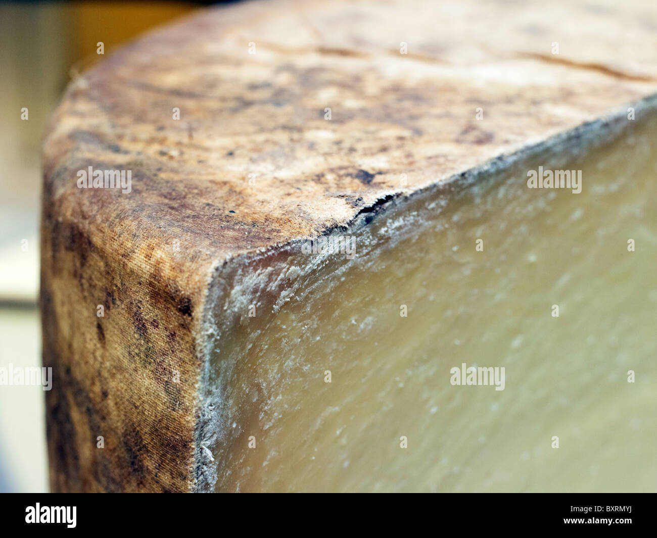 English Cheddar cow's milk cheese, close-up Stock Photo - Alamy