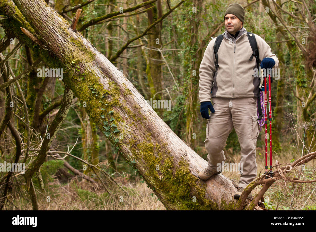 Hiking mountain trekking hi-res stock photography and images - Alamy