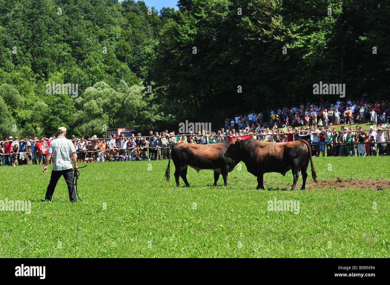 Bullfight crowd hi-res stock photography and images - Alamy