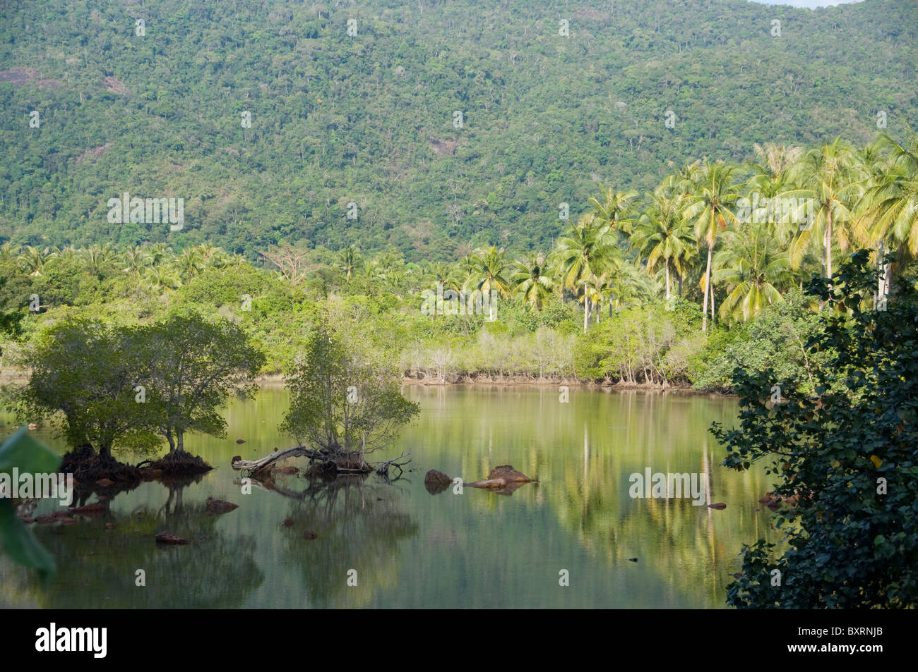Palm trees lagoon at the back of hat wai chek hi-res stock photography ...