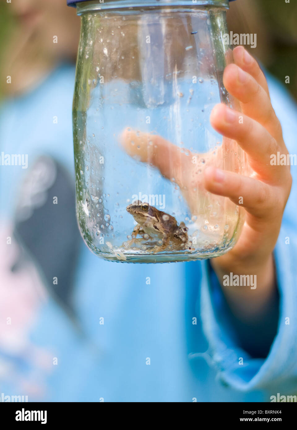 Small frog captured in a jar by a child Stock Photo - Alamy