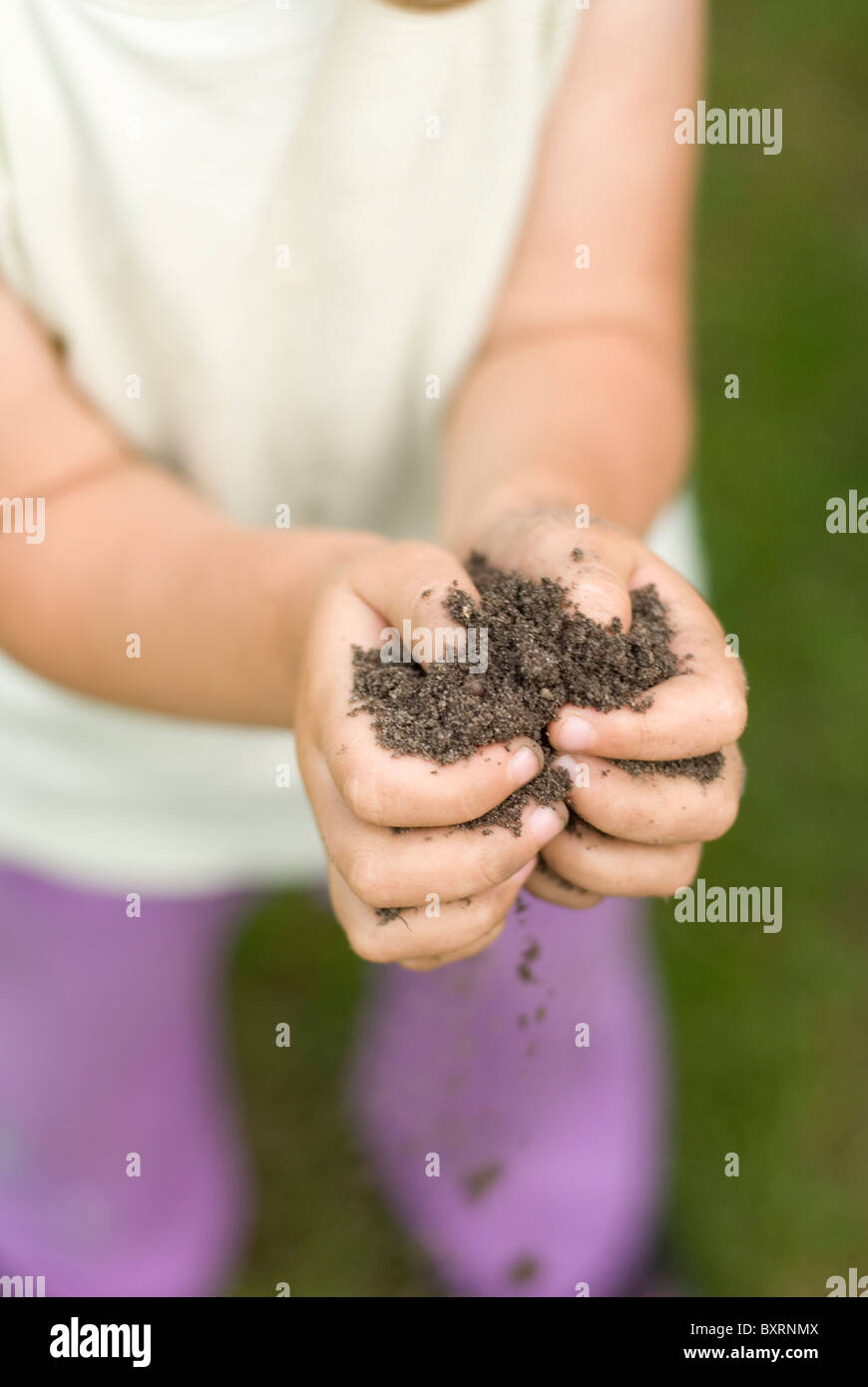 Small gorl holding dirt in her hands Stock Photo - Alamy