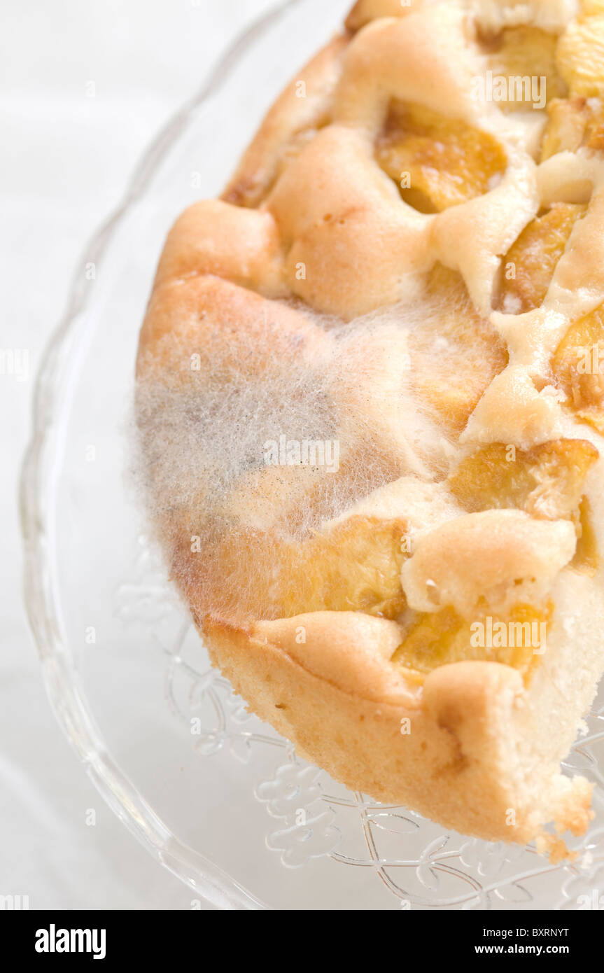 Fungus cake hi-res stock photography and images - Alamy