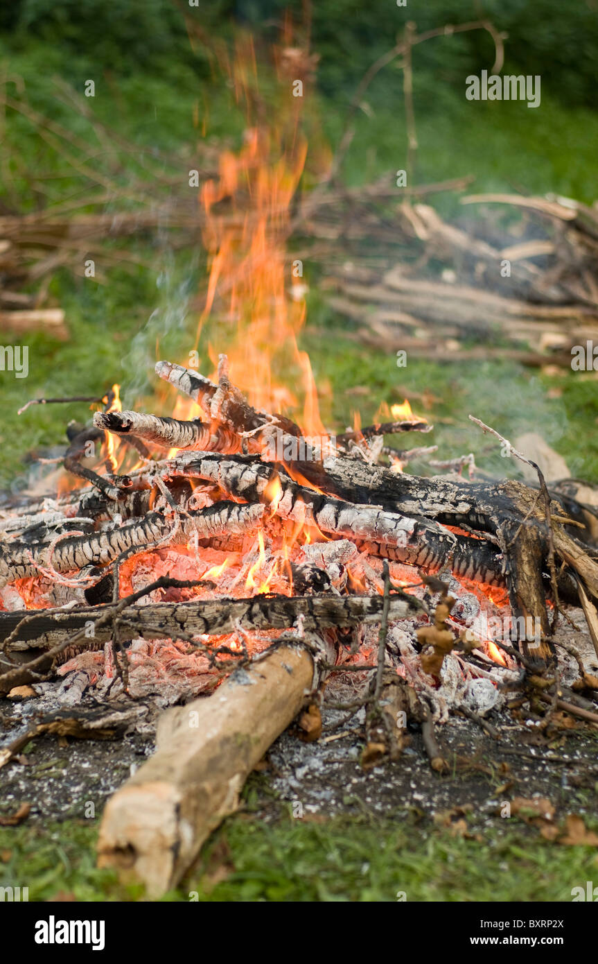 Fiery bonfire burning at a camp Stock Photo - Alamy
