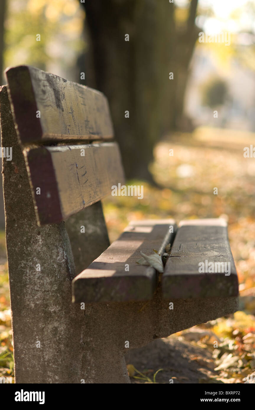 Wooden bench in park in fall Stock Photo - Alamy