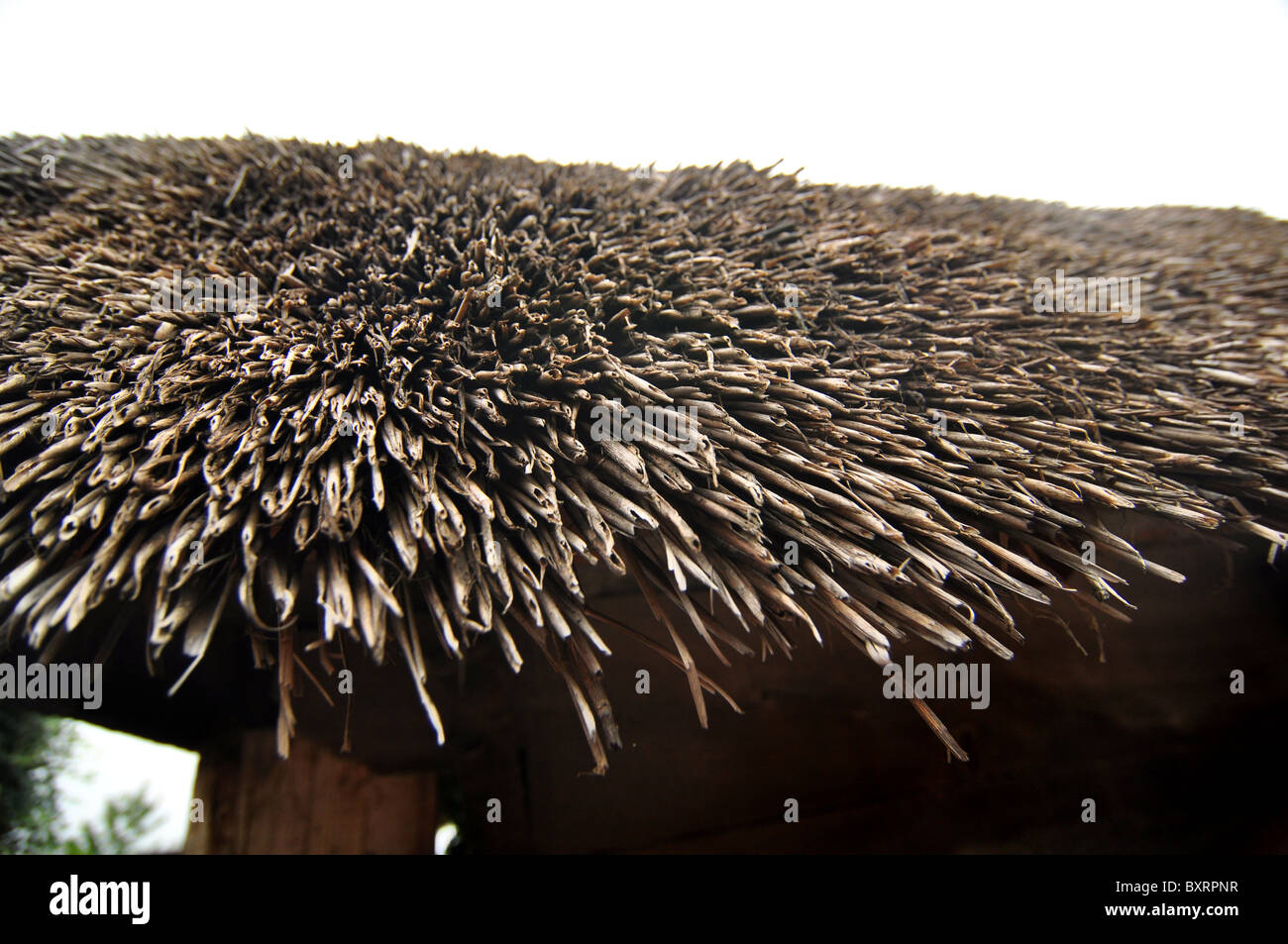 Hay roof hi-res stock photography and images - Alamy