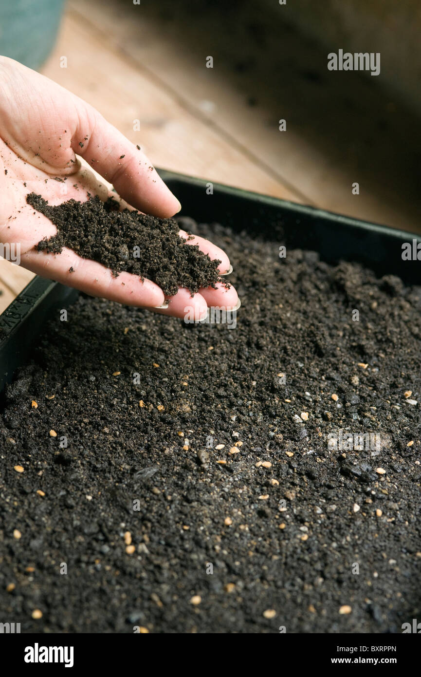 Human hand holding mixture of compost and soil Stock Photo - Alamy