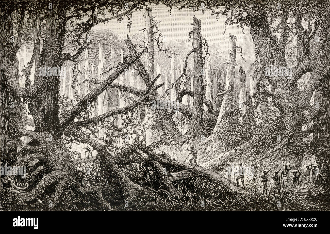 Sir Henry Morton Stanley and his men crossing a hazardous forest ...