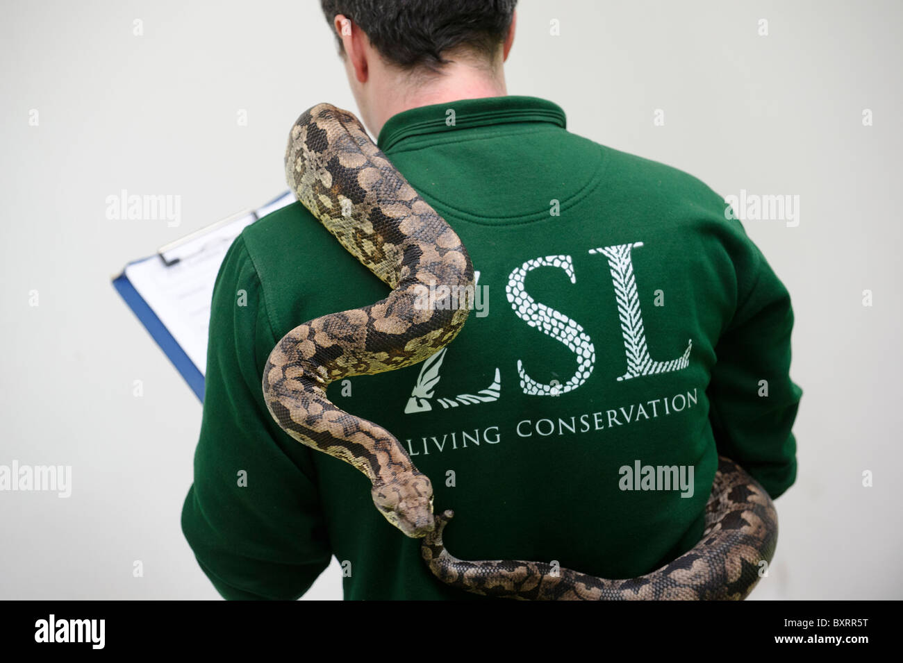 Snake london zoo hi-res stock photography and images - Alamy