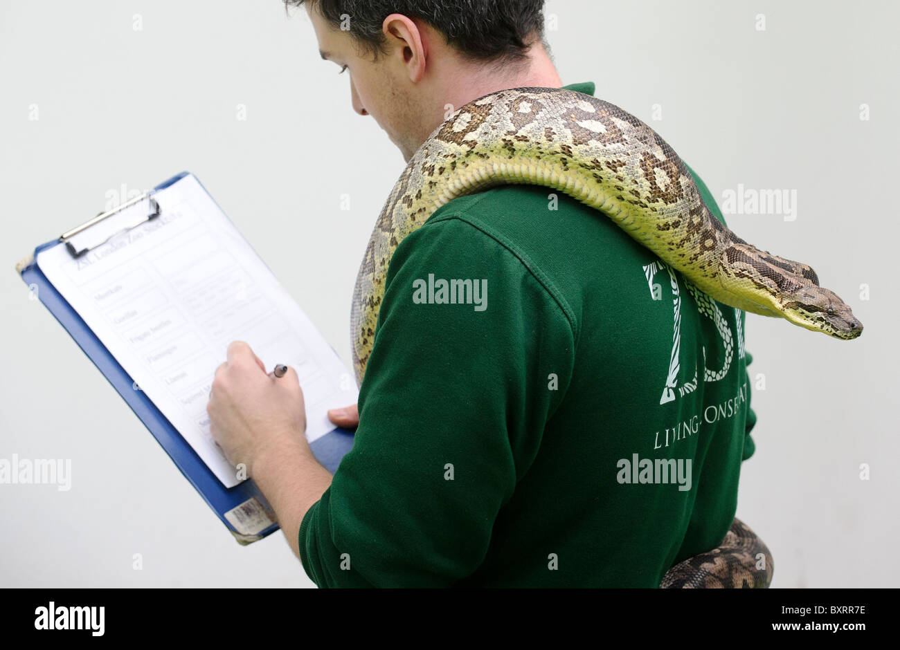 Snake london zoo hi-res stock photography and images - Alamy