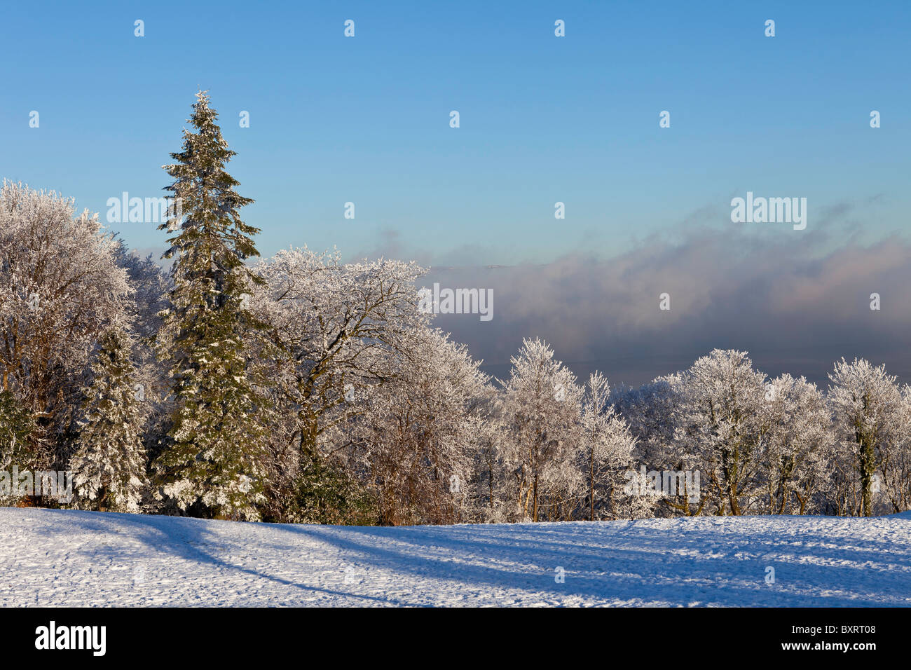 Winter scene in lyle park Greenock Stock Photo - Alamy