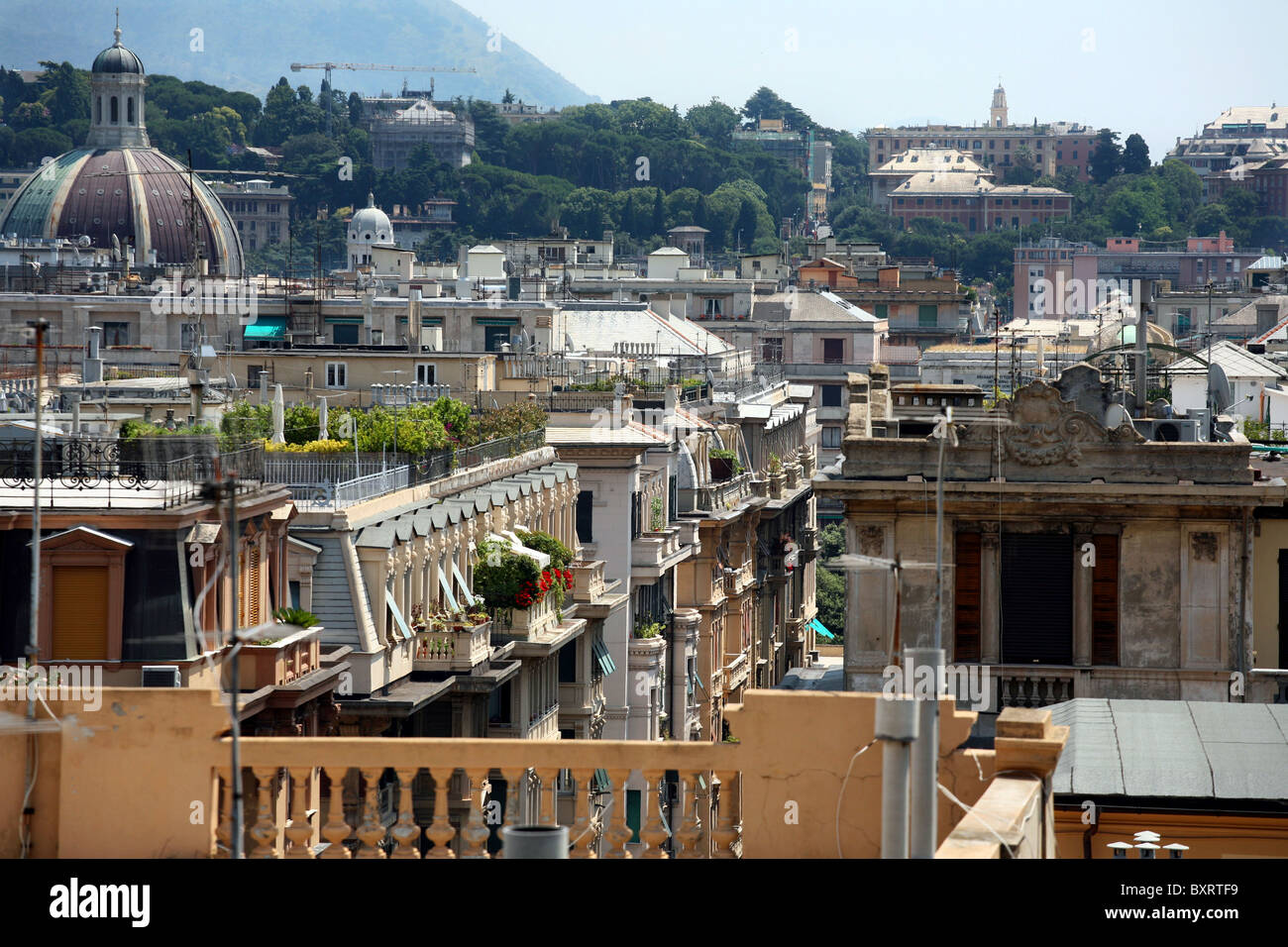 Genova carignano hi-res stock photography and images - Alamy