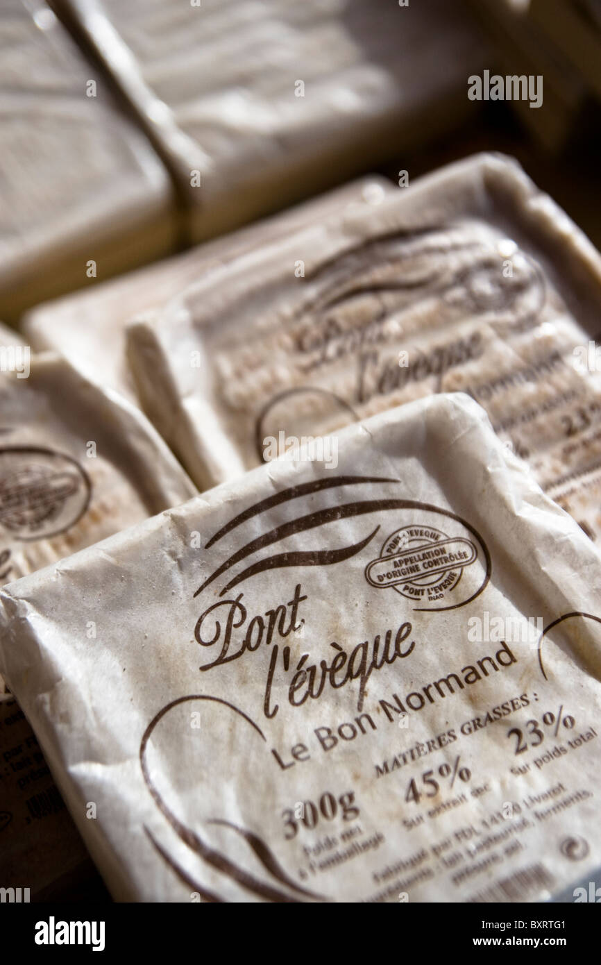 France, Normandie, Pays d'Auge, Close-up of Pont l'Eveque cheese Stock ...