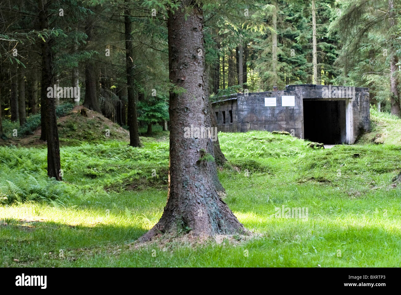 France normandy forest hi-res stock photography and images - Alamy