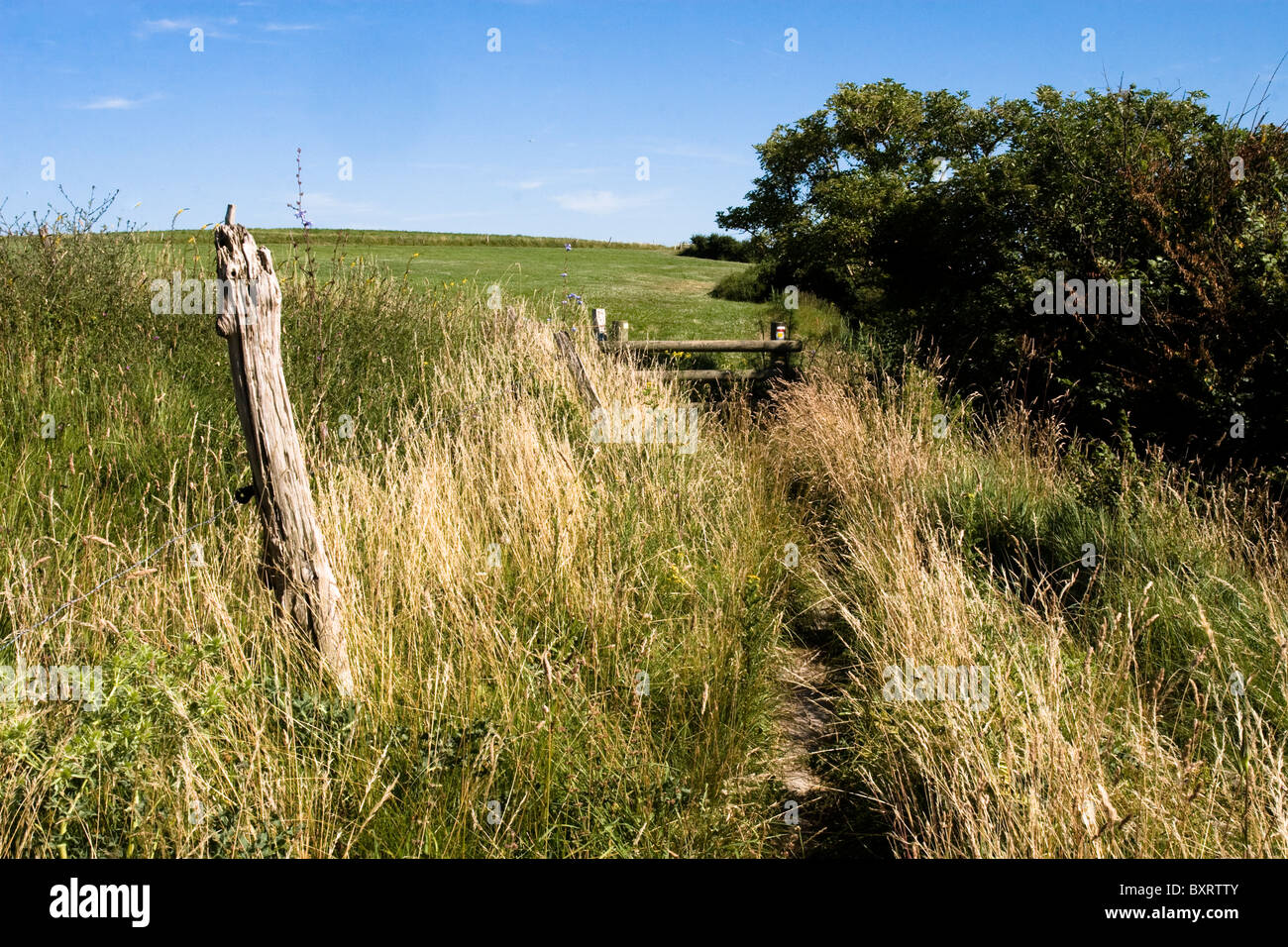 France, Normandie, Footpath through field Stock Photo - Alamy