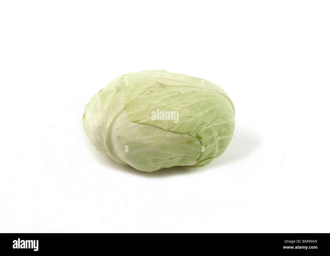 Flat cabbage on white background Stock Photo - Alamy