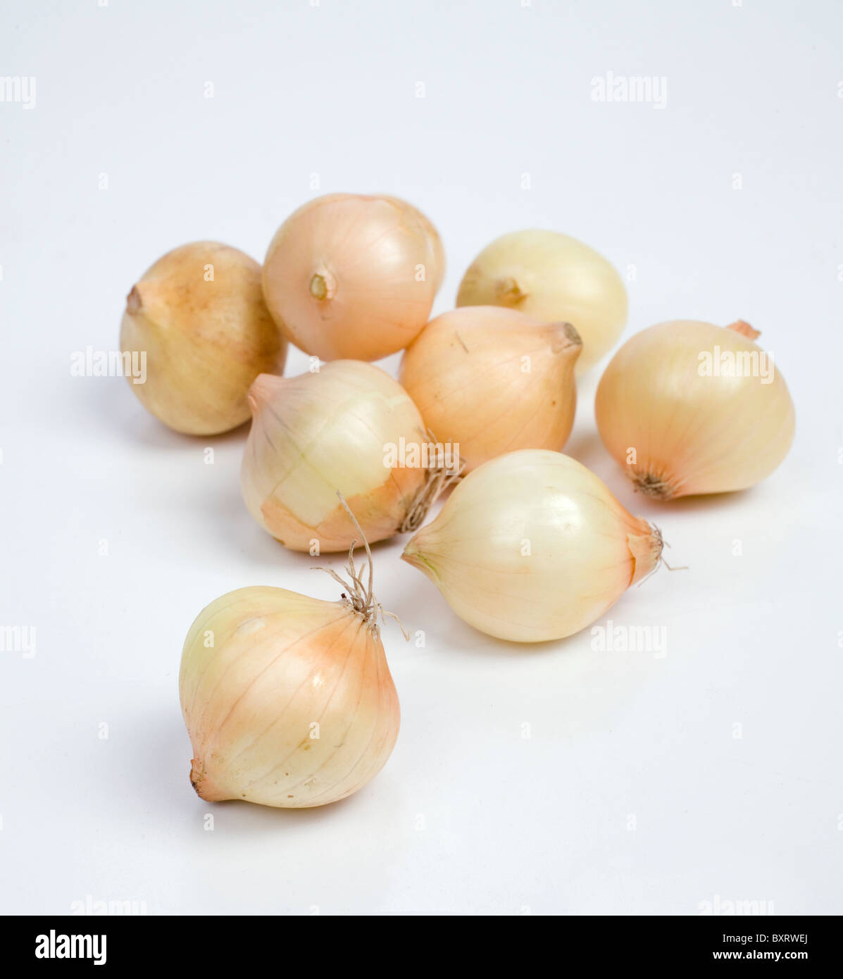 Canned Pearl Onions