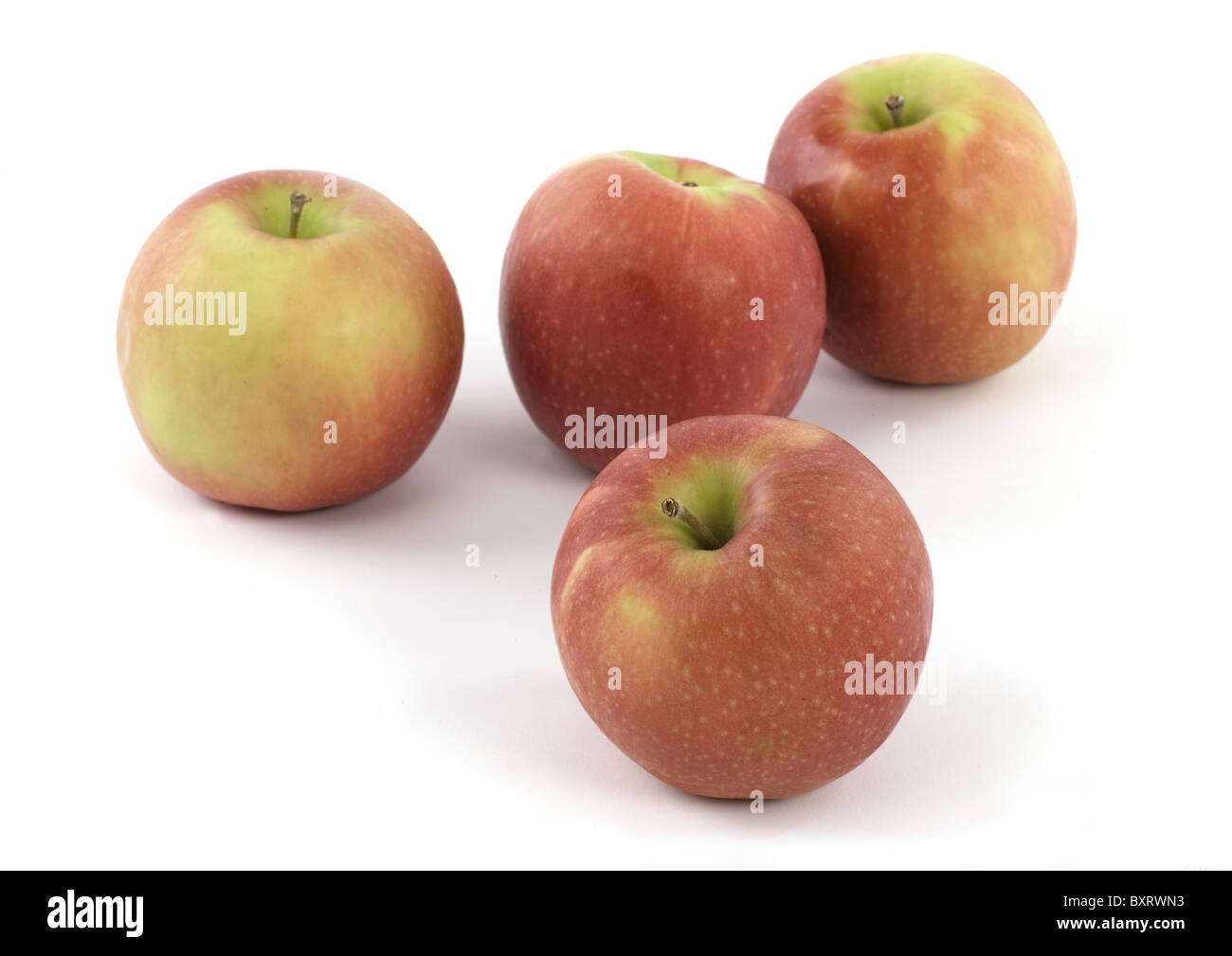 Pink lady apple studio hi-res stock photography and images - Alamy