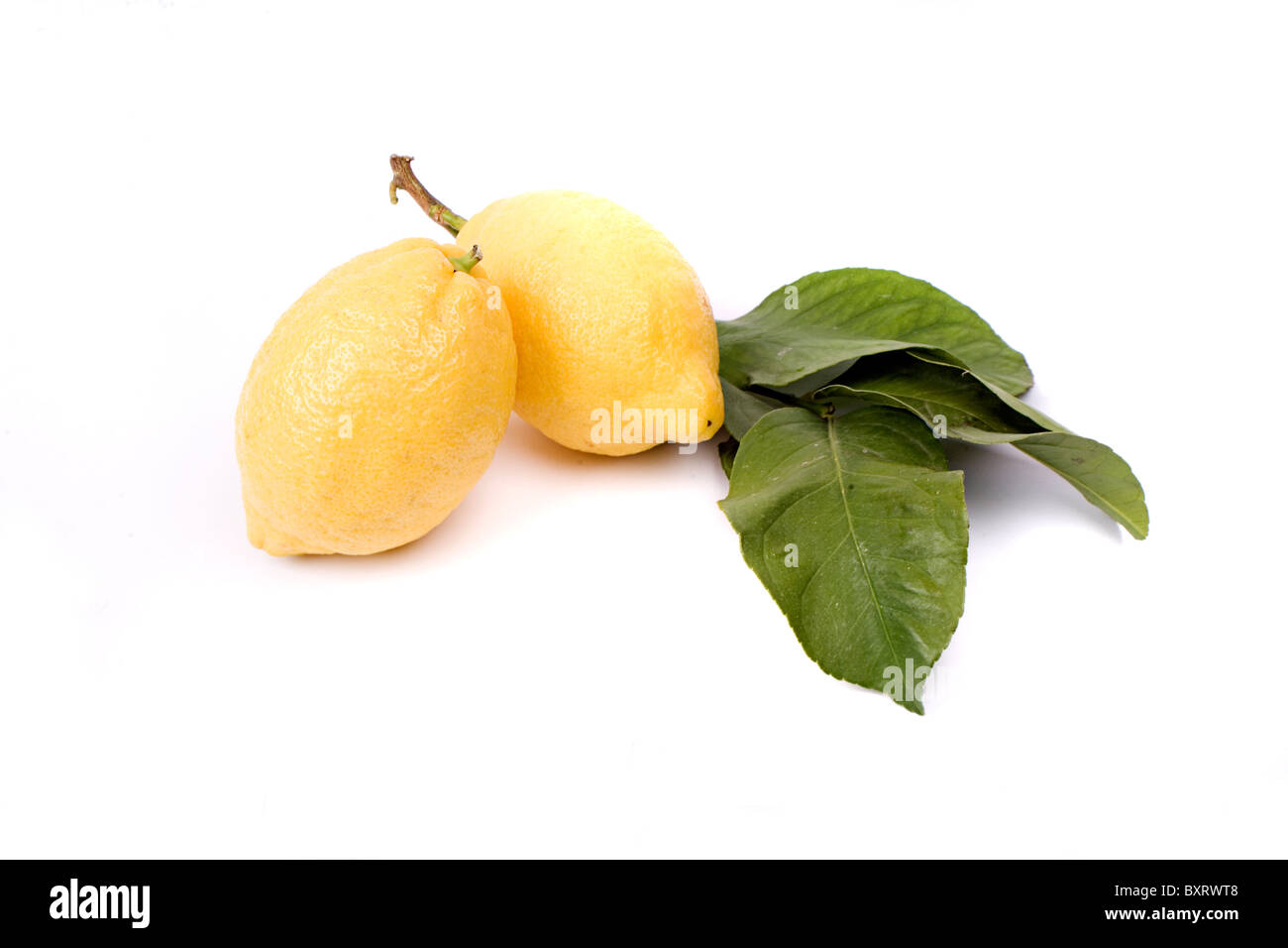 Lemons leaves hi-res stock photography and images - Alamy