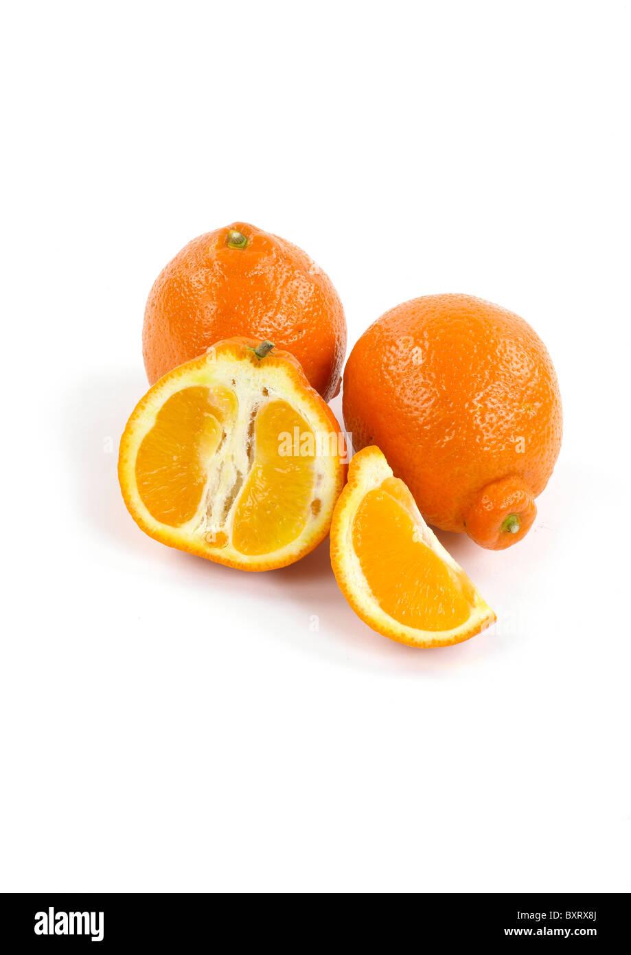 Jaffa citrus hi-res stock photography and images - Alamy