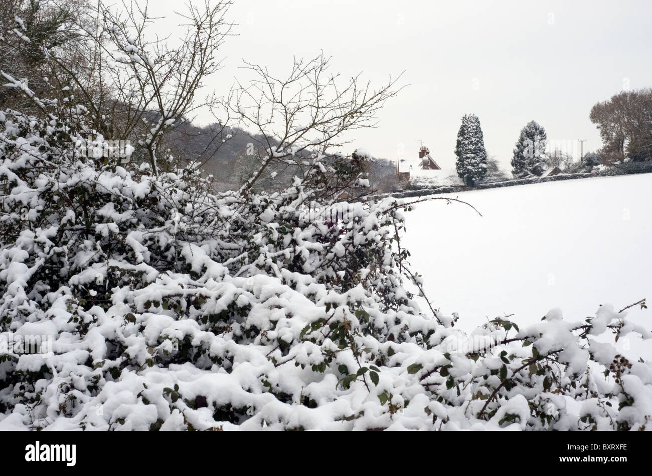 isolated rural house in a snow covered landscape Stock Photo - Alamy
