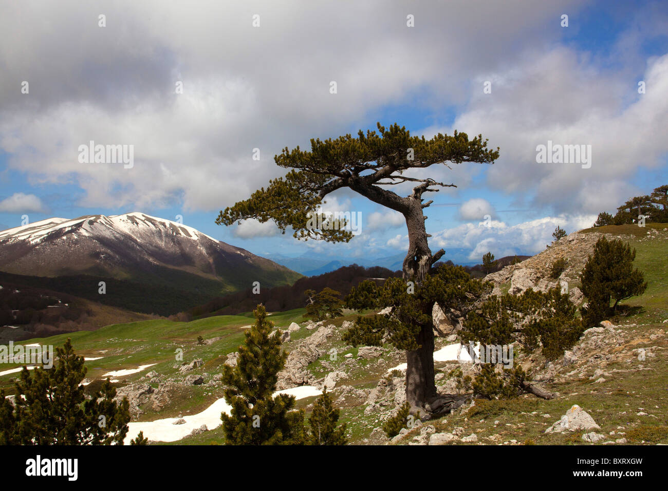 Parco nazionale del pollino hi-res stock photography and images - Alamy