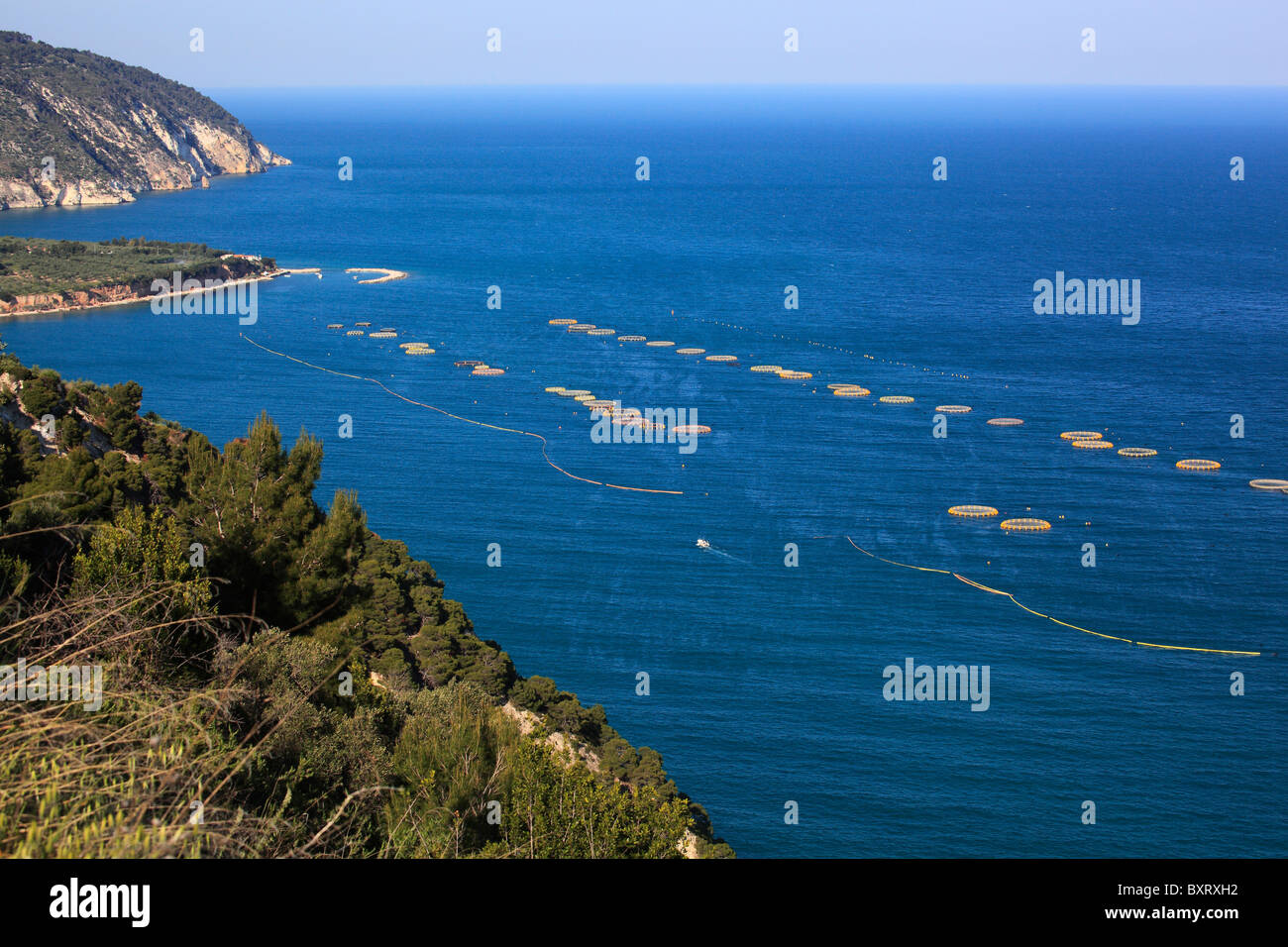 Fish farms, coast between Mattinata and Vieste, Gargano Promontory ...
