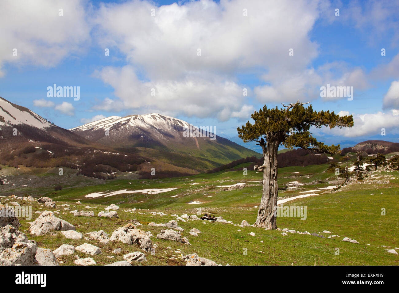 Parco nazionale del pollino hi-res stock photography and images - Alamy