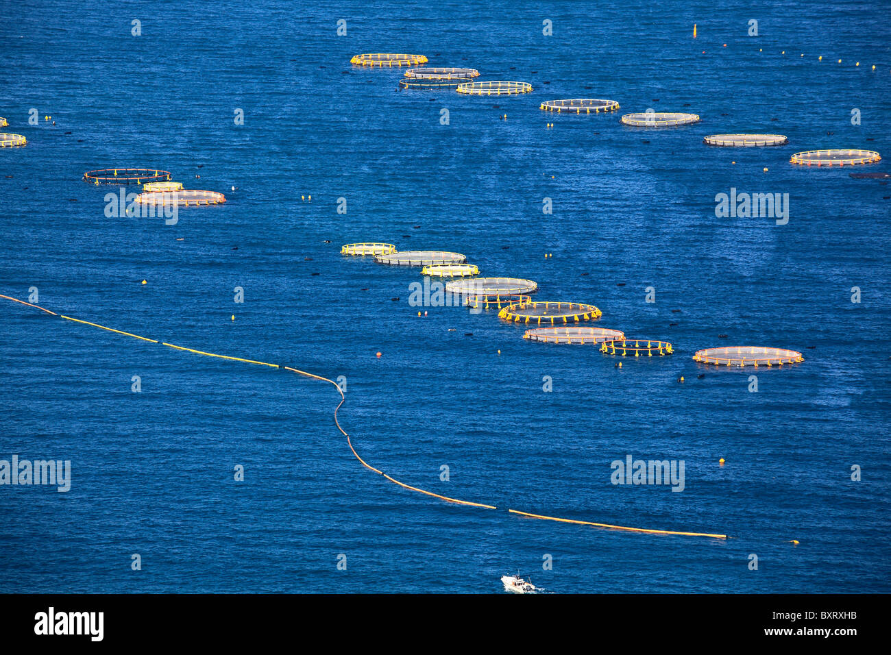 Fish farms, coast between Mattinata and Vieste, Gargano Promontory ...