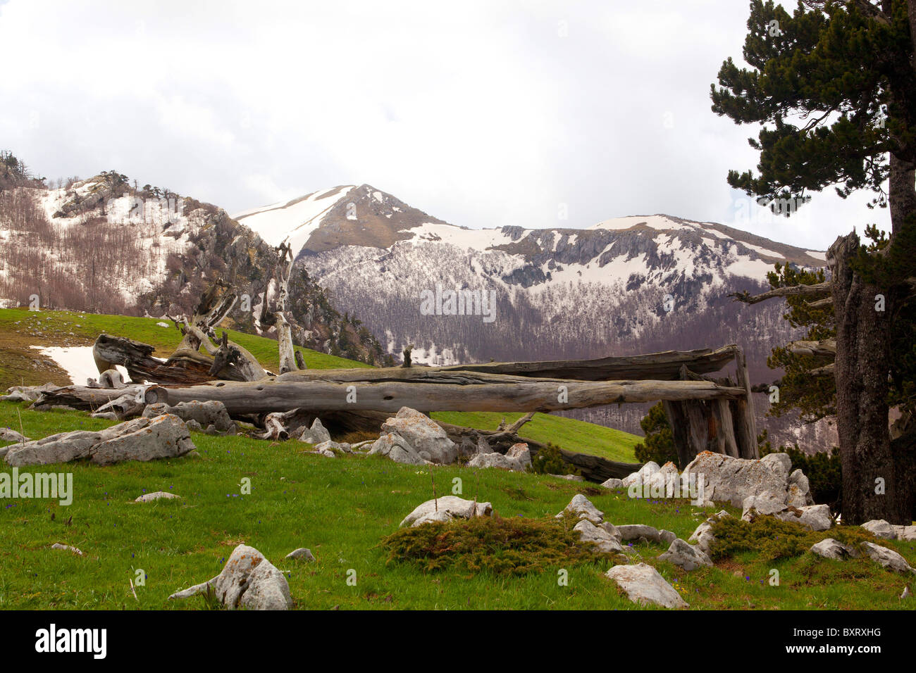 Parco nazionale del pollino hi-res stock photography and images - Alamy
