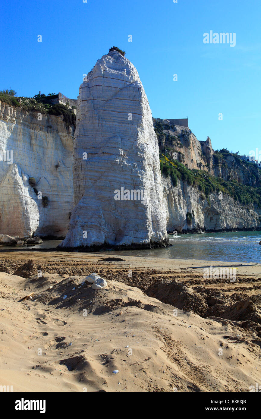 Vertical rocky monolith, Castle Beach, Pizzomunno, Vieste, Puglia ...