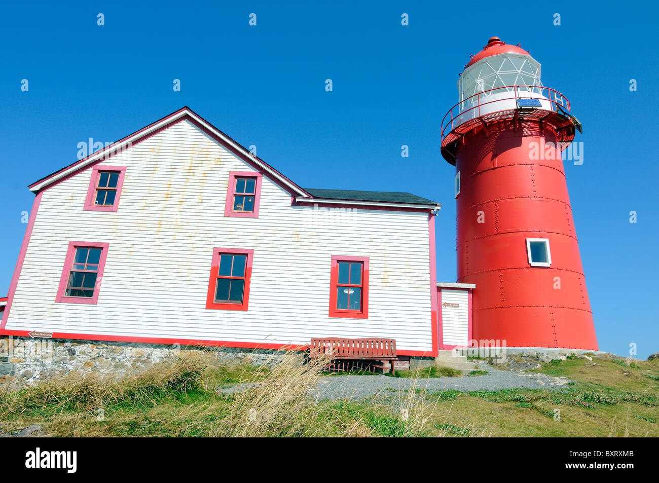 The Lighthouse Ferryland Newfoundland Stock Photo - Alamy