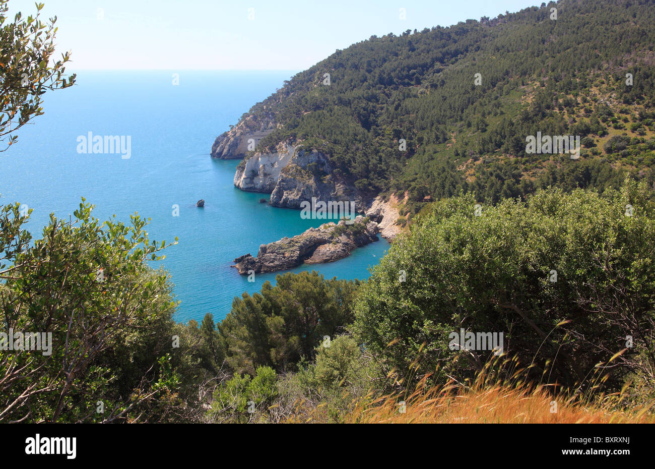 Coast between Vieste and Mattinata, Gargano Promontory, Gargano ...
