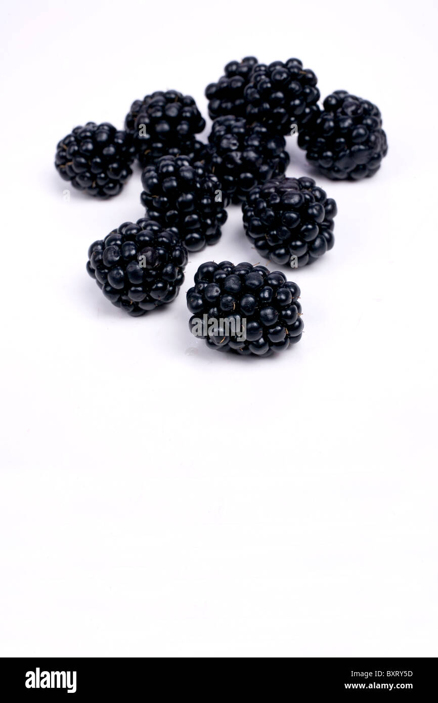 Blackberries on white background Stock Photo - Alamy
