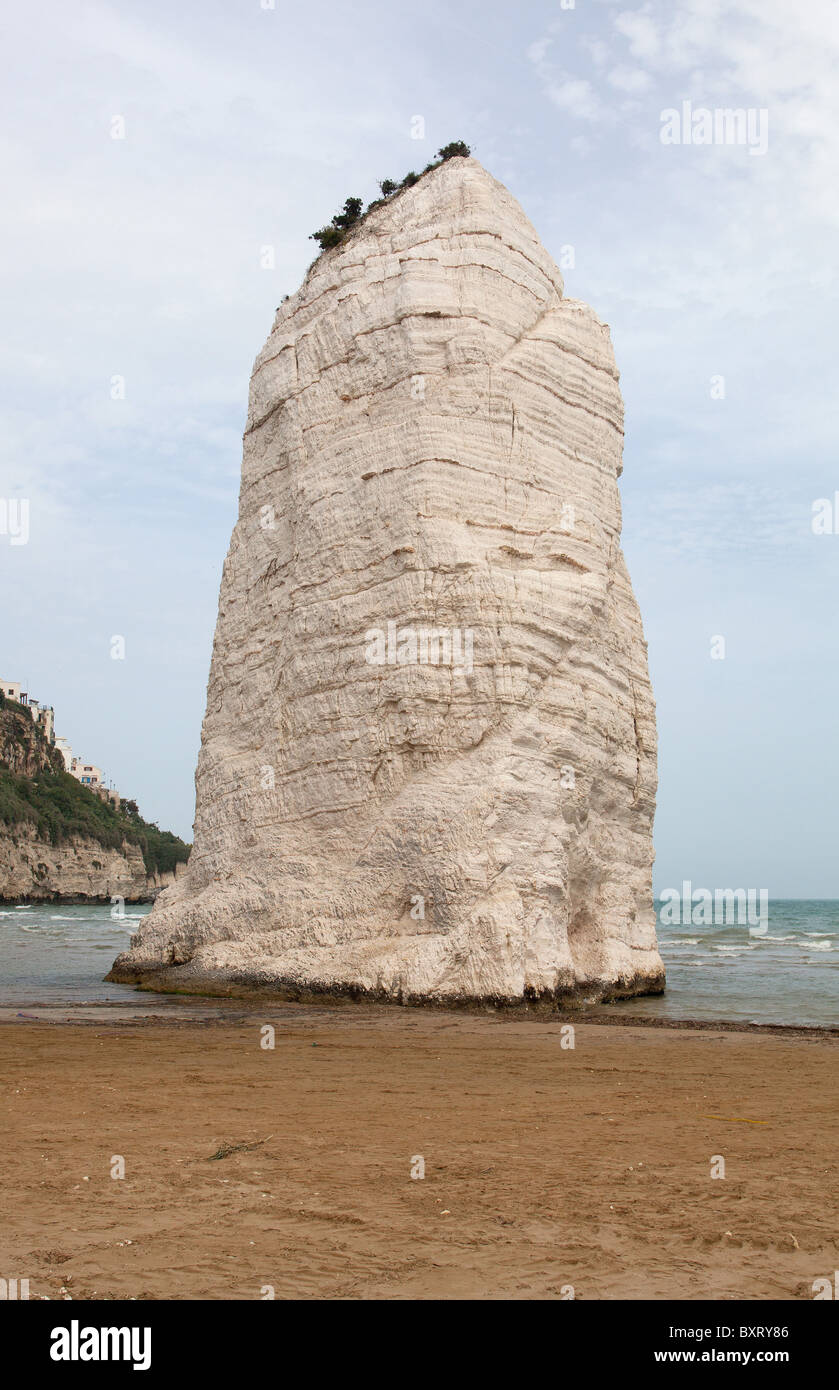 Vertical rocky monolith, Castle Beach, Pizzomunno, Vieste, Puglia ...