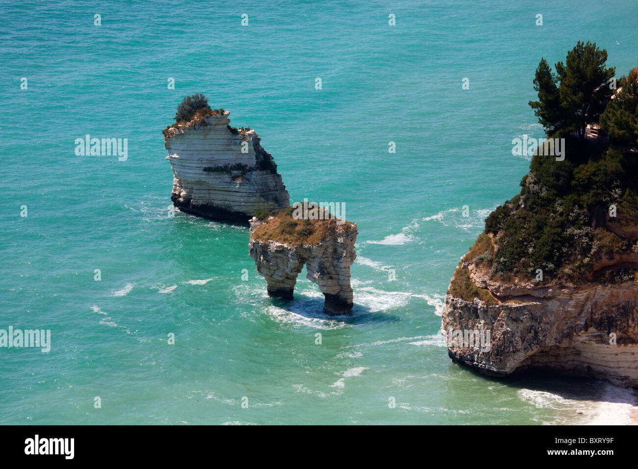 Stacks, Zagare Bay, Coast between Mattinata and Vieste, Gargano ...