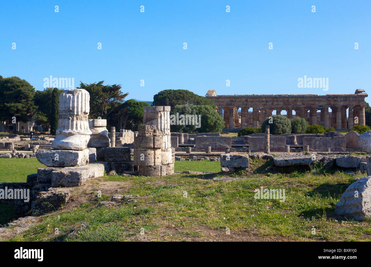 The Comitium and Mens Bona temple, in the background Nettuno Temple ...
